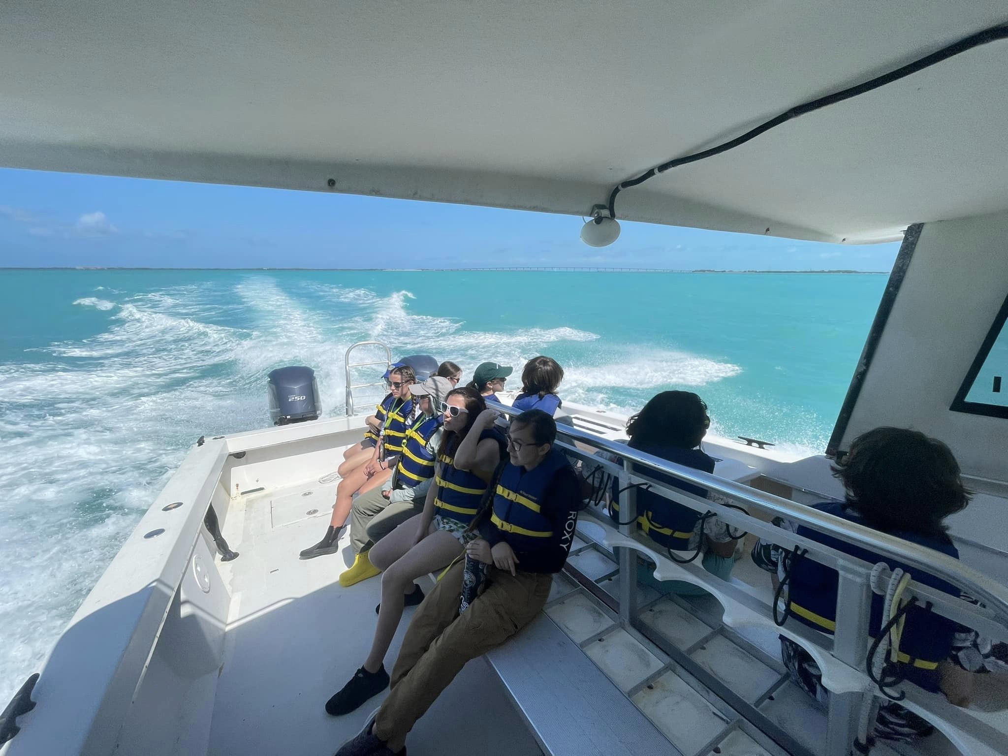 Honoring the Ocean Program Launched across Five Florida Universities ...