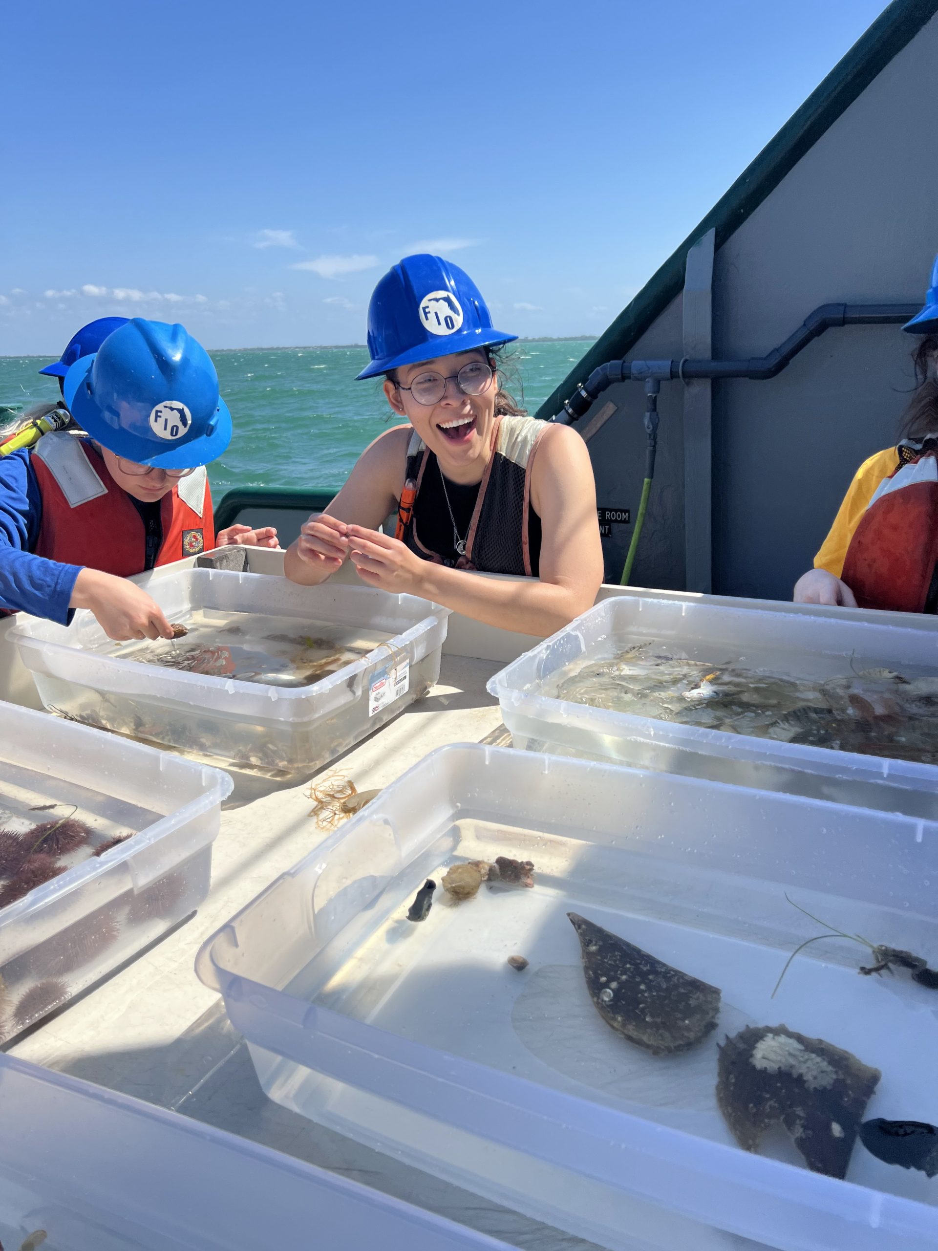 Honoring the Ocean - Florida Institute of Oceanography